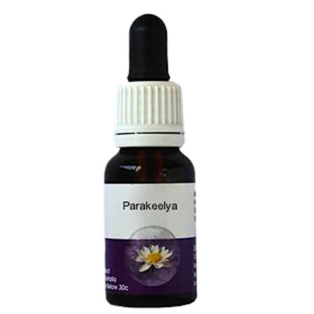 Living Essences Parakeelya 15ml