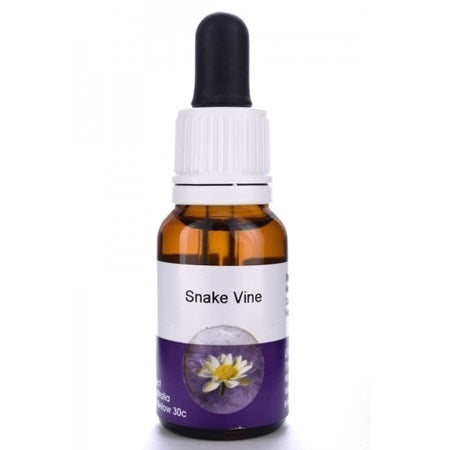 Living Essences Snake Vine 15ml